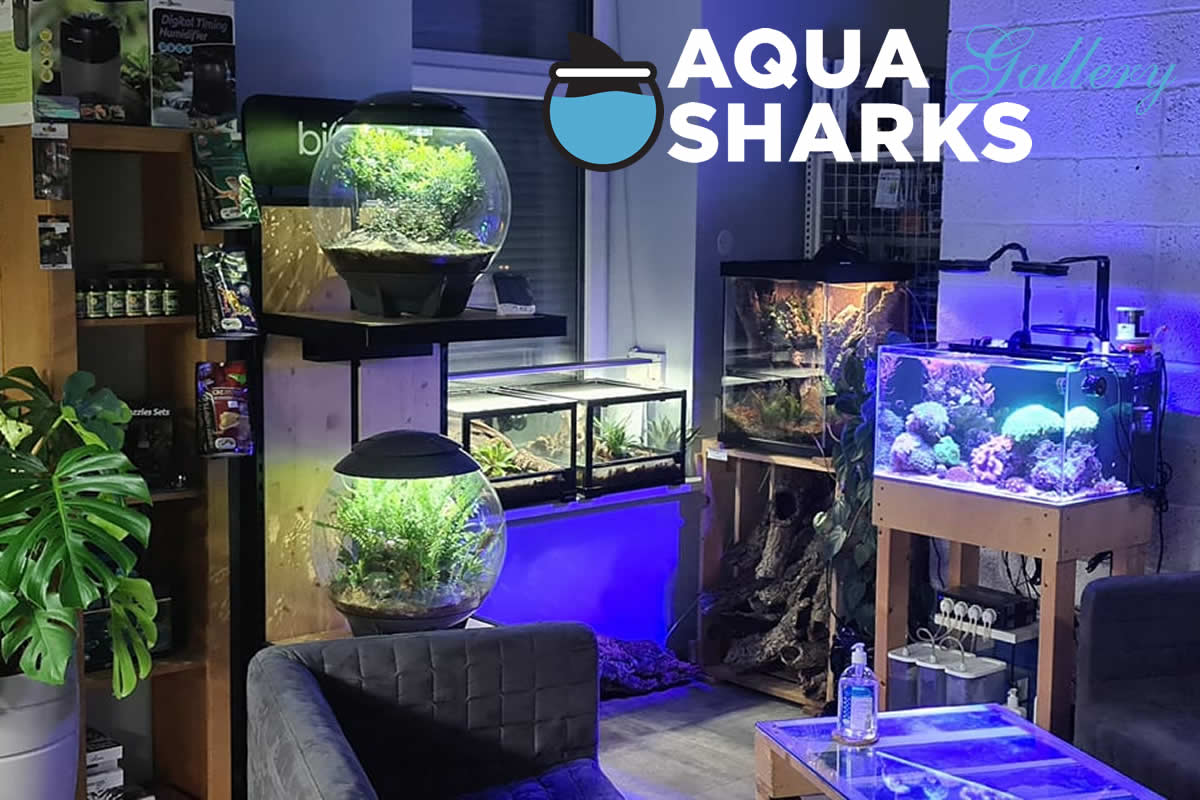 Fauna Marin Lab - Berater